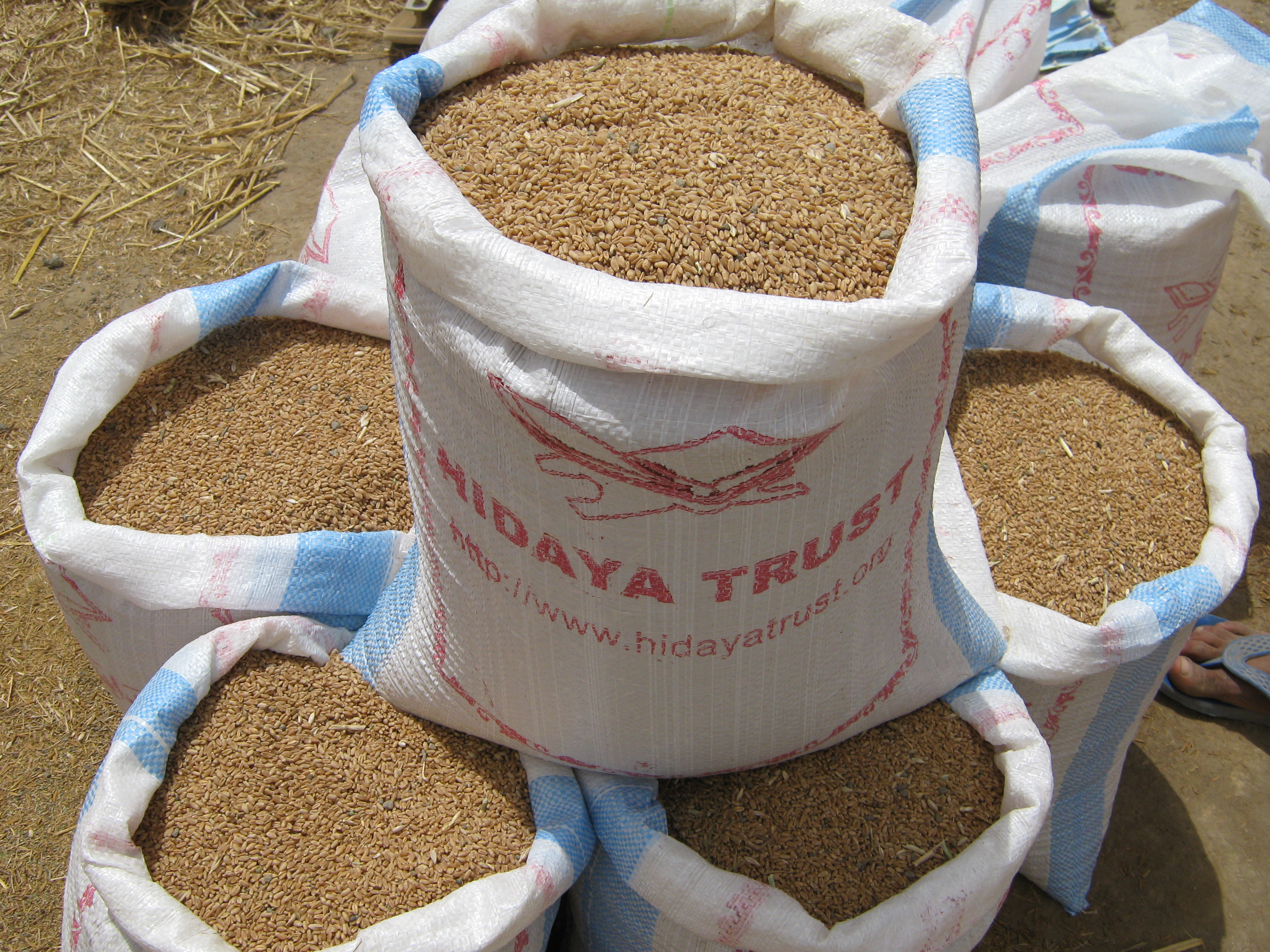 Fidya - Hidaya Foundation