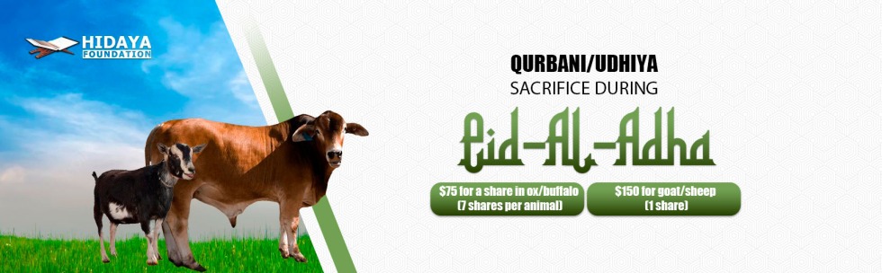 Hidaya Foundation - Hidaya Foundation